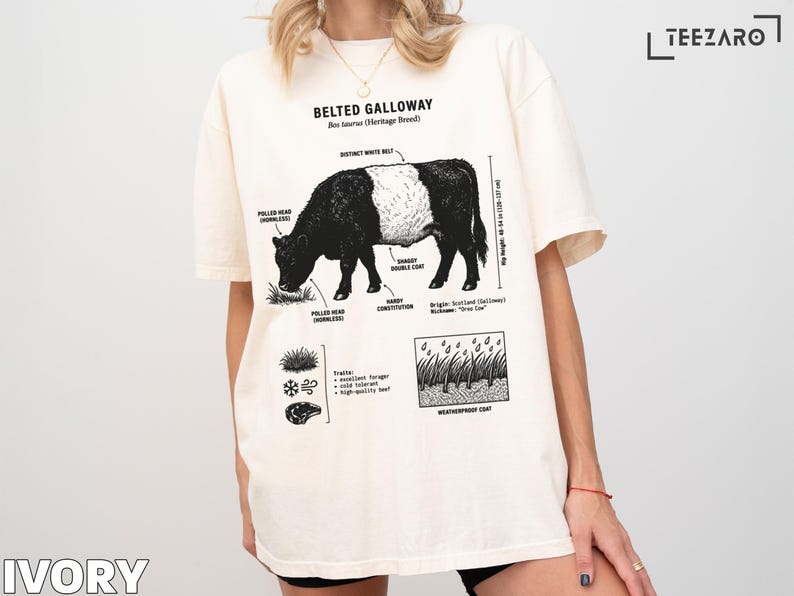 T-shirt Galloway : race de vache ceinturée, race patrimoniale, tête ...