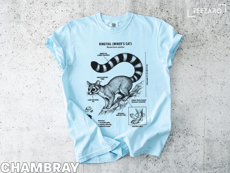 Ringtail Cat T-shirt: Miner's Cat, Detailed Anatomy, Rocky Canyon ...