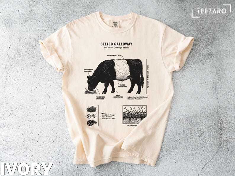 T-shirt Galloway : race de vache ceinturée, race patrimoniale, tête ...