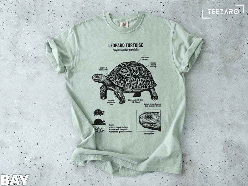 Leopard Tortoise T-shirt: Detailed Reptile Art, Herbivore, African ...