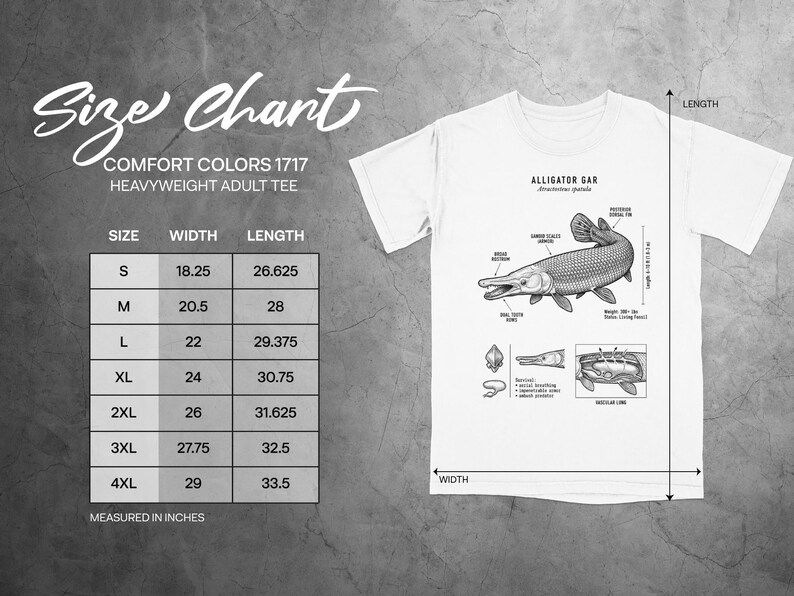 Alligator Gar T-shirt: Living Fossil, Scientific Illustration, Detailed ...