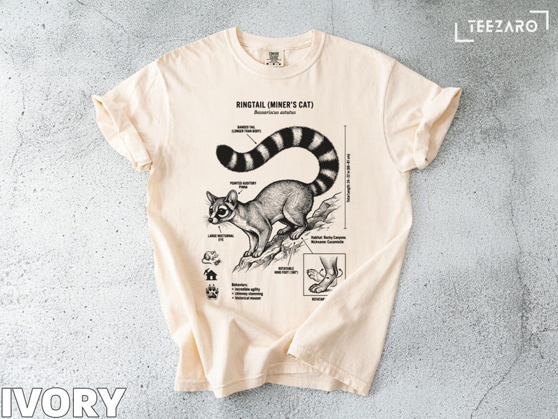 Ringtail Cat T-shirt: Miner's Cat, Detailed Anatomy, Rocky Canyon ...
