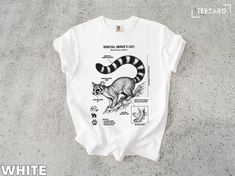 Ringtail Cat T-shirt: Miner's Cat, Detailed Anatomy, Rocky Canyon ...