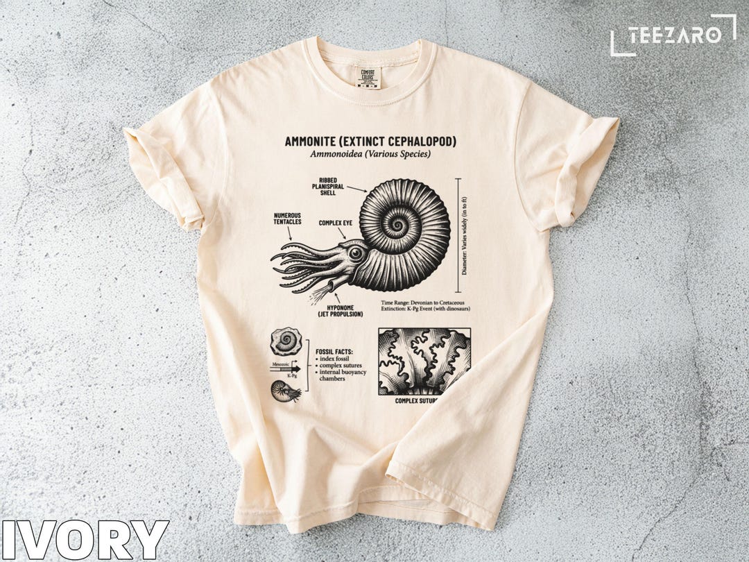 Ammonite T-shirt: Extinct Cephalopod, Detailed Fossil, Scientific ...