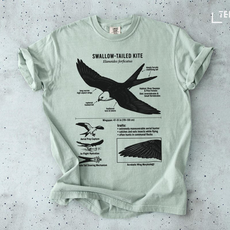 Kite for Adult Men - Etsy