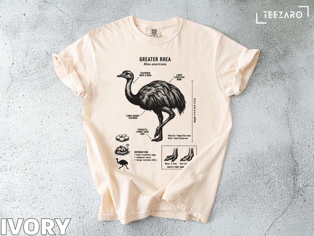 Greater Rhea Anatomy T-shirt: Flightless Bird Illustration - Etsy