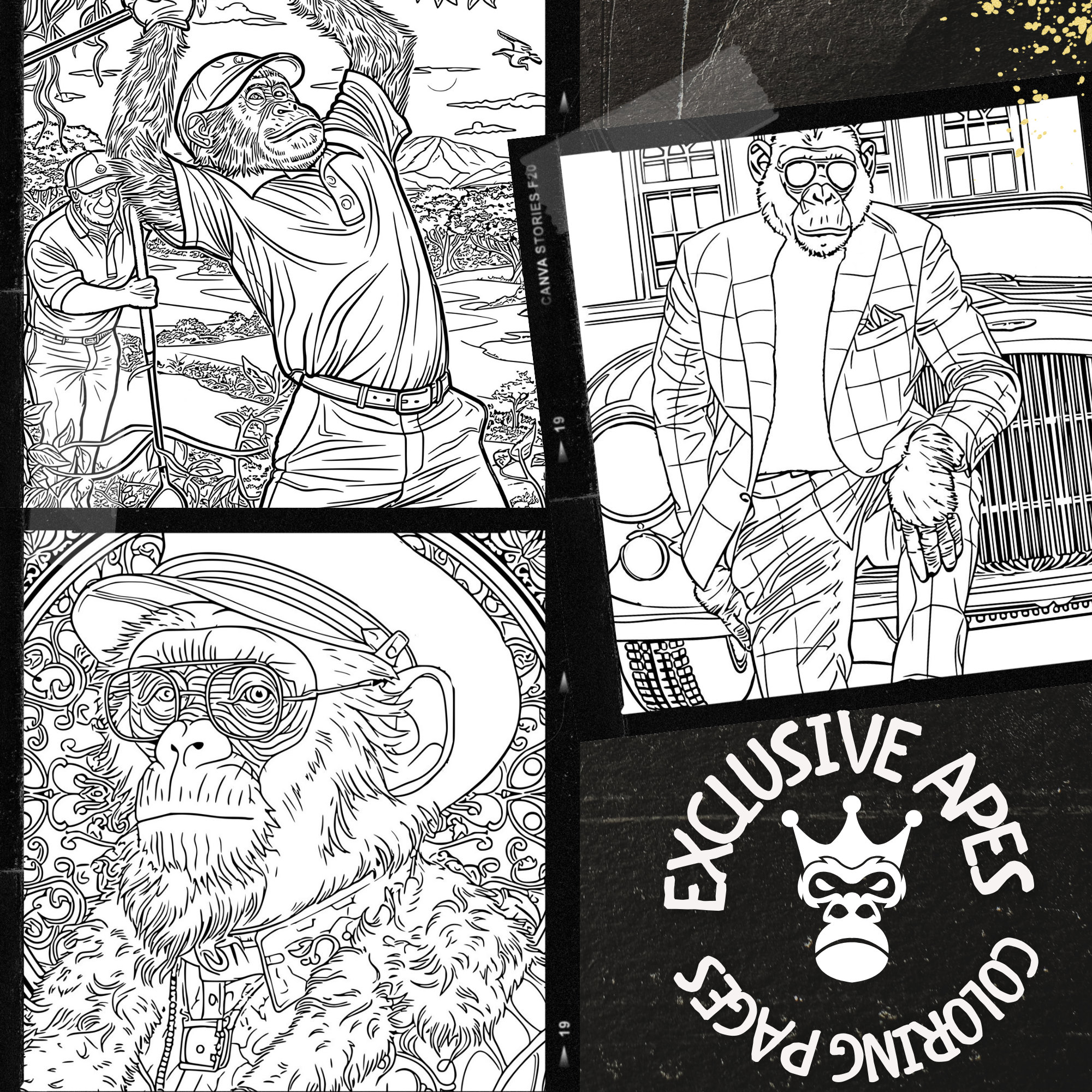 Coloring Book for Adults, 23 Printable Animal Coloring Pages, Ape ...