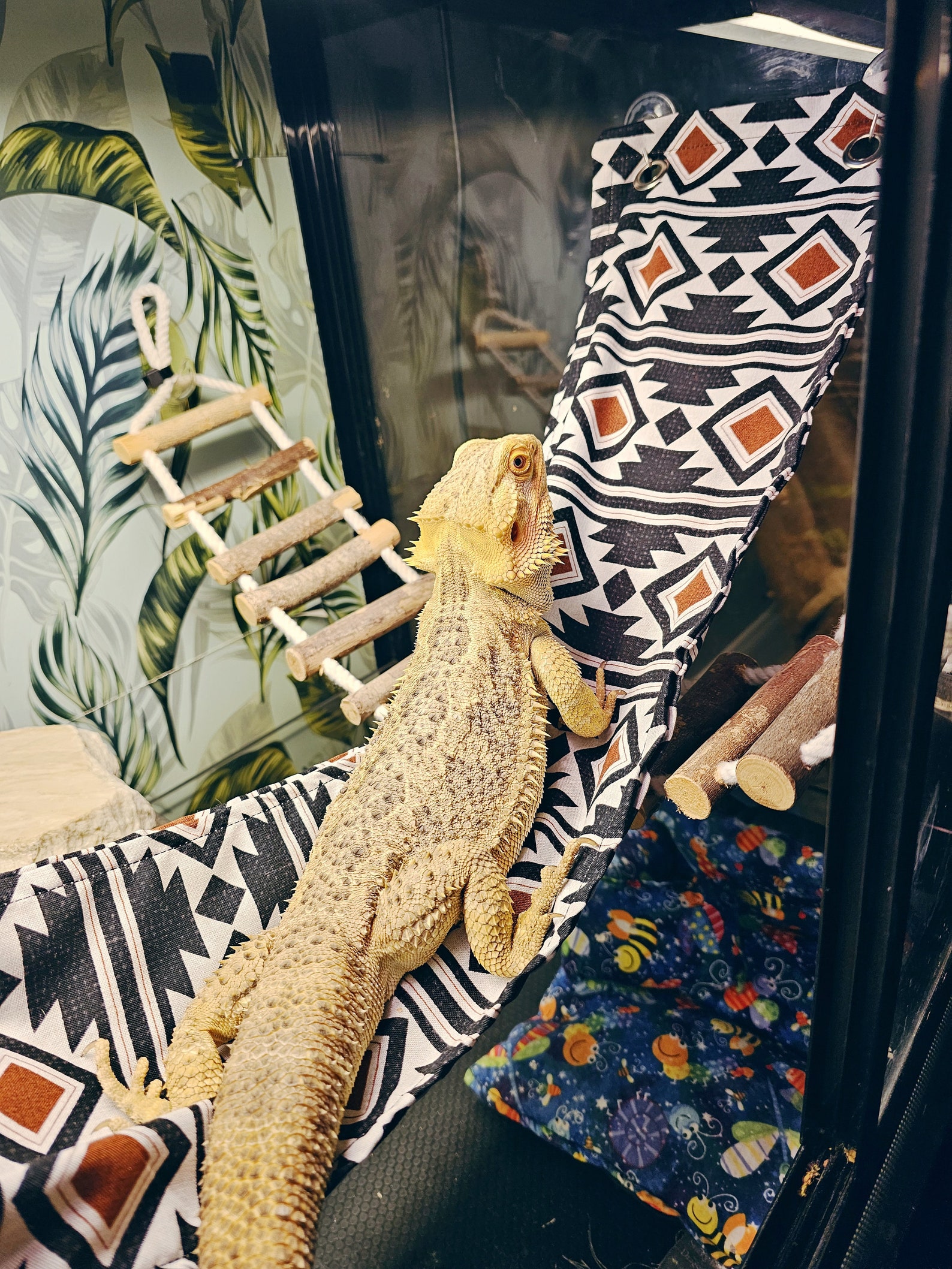 Repti Bridge. Reptile Enclosure Decor. Lizard Lounger. Reptile Ramp ...
