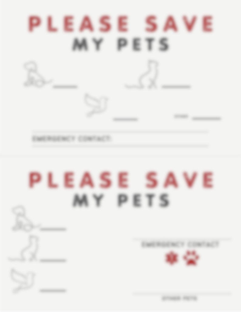 Emergency Pet Info Sheet Printable Pet Sitter Instructions Pet Care