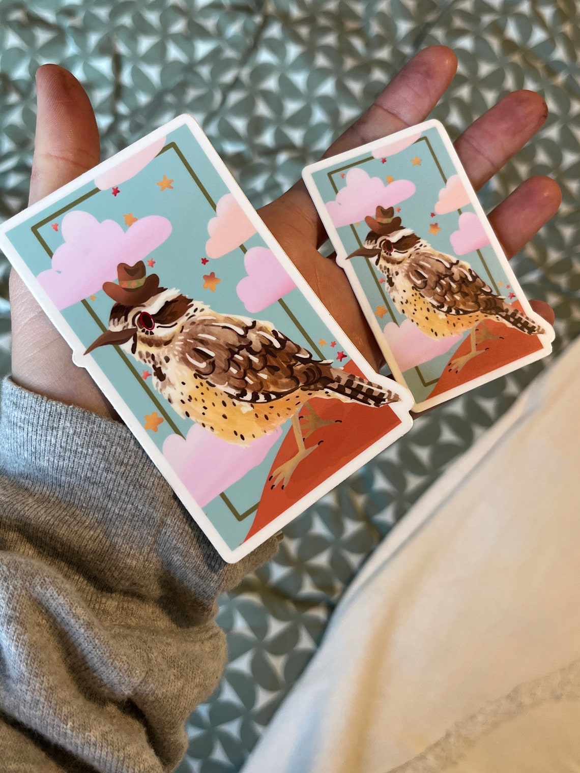 Cactus Wren Sticker | Arizona Birds - Etsy