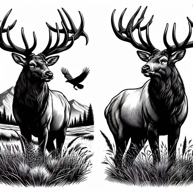 Elk Engraving Images - Etsy