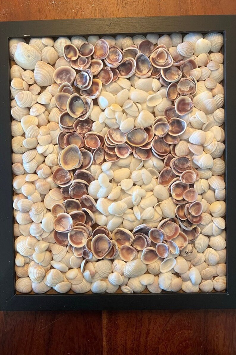Seashell Art, Seashell Wall Art, Shell Art Work, Initial Seashell Art ...