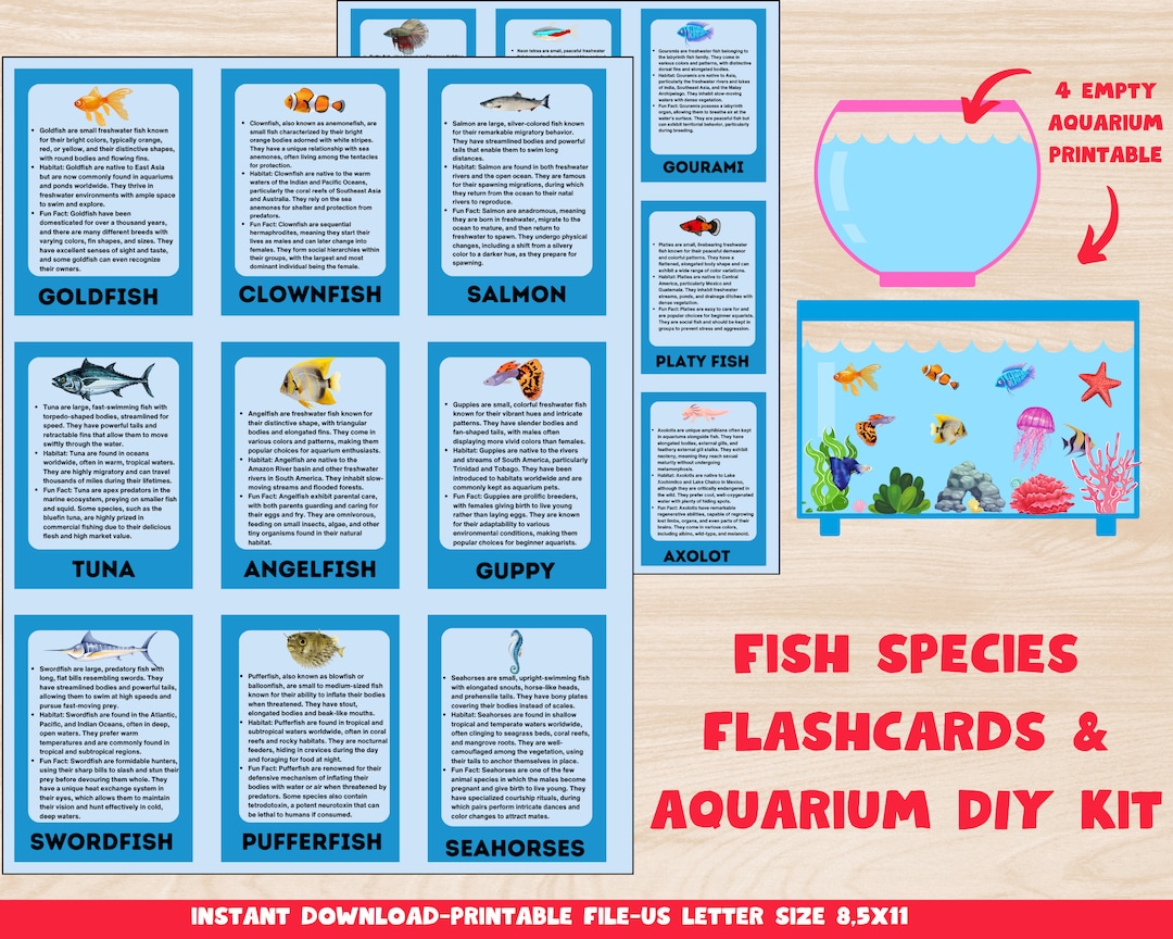 Sea Animal Flashcard Kit Homeschool Aquarium DIY Kit for Montessori ...
