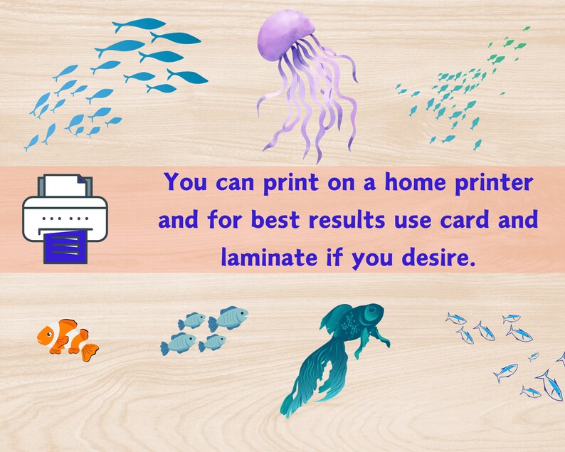 Fish Species Flashcard,sea Animal Aquarium DIY Kit Montessori Preschool ...