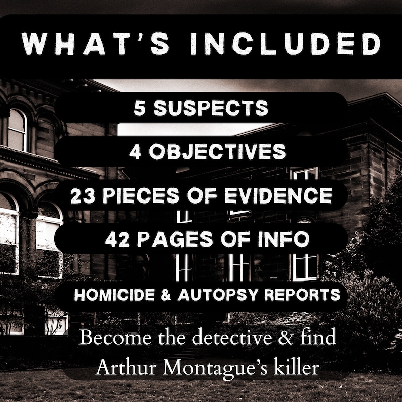 Printable Murder Mystery Case File | Mystery Date Night | Detective ...