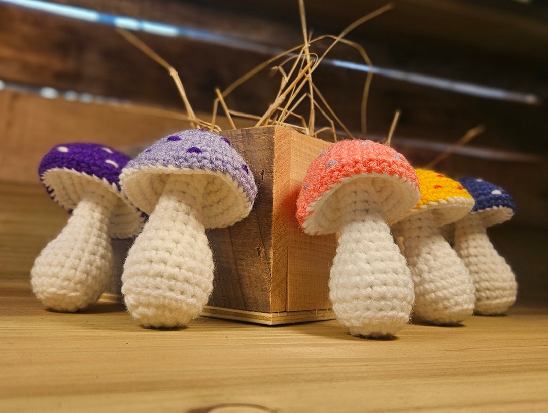 Fidget Mushroom Stuffy Handcrafted Crochet - Etsy