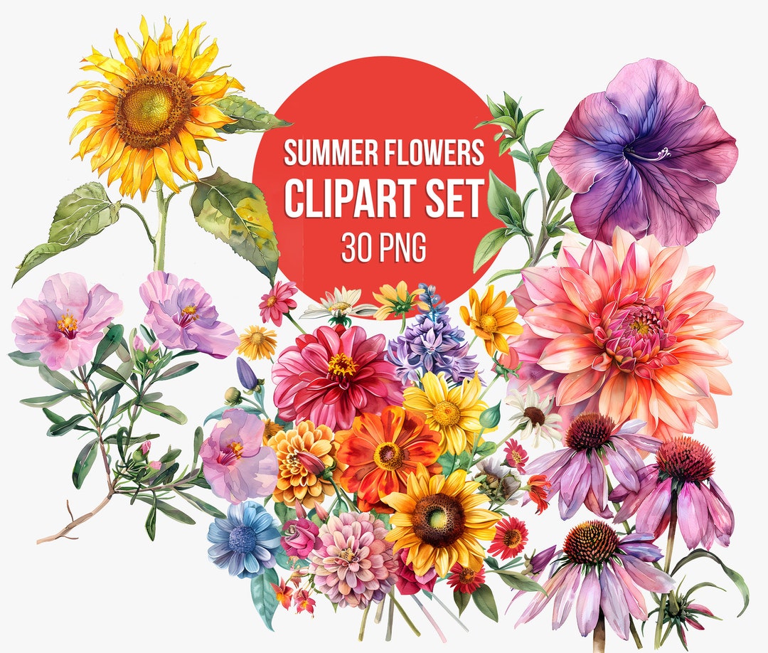 Watercolor Summer Flowers Clipart | Summer Flowers PNG, Summer Florals ...