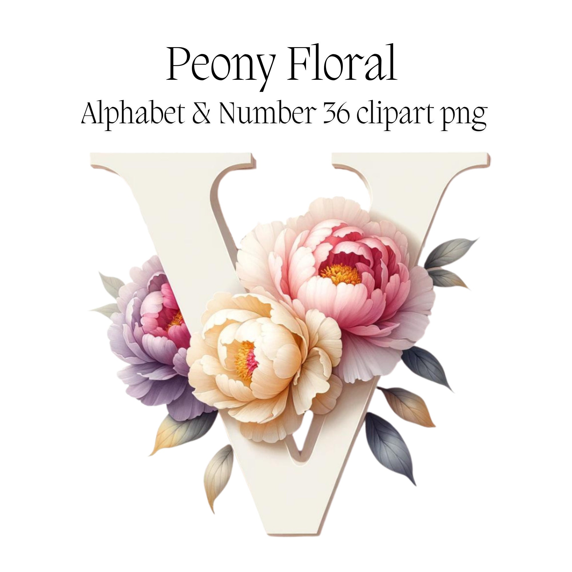 Watercolor Floral Alphabet & Number PNG Clipart, Peony Letters Clipart ...