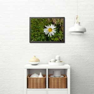 Daisy Photo Spring Daisy Flower Photo Custom Wall Art Flower Decor ...