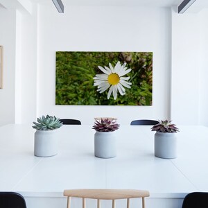 Daisy Photo Spring Daisy Flower Photo Custom Wall Art Flower Decor ...