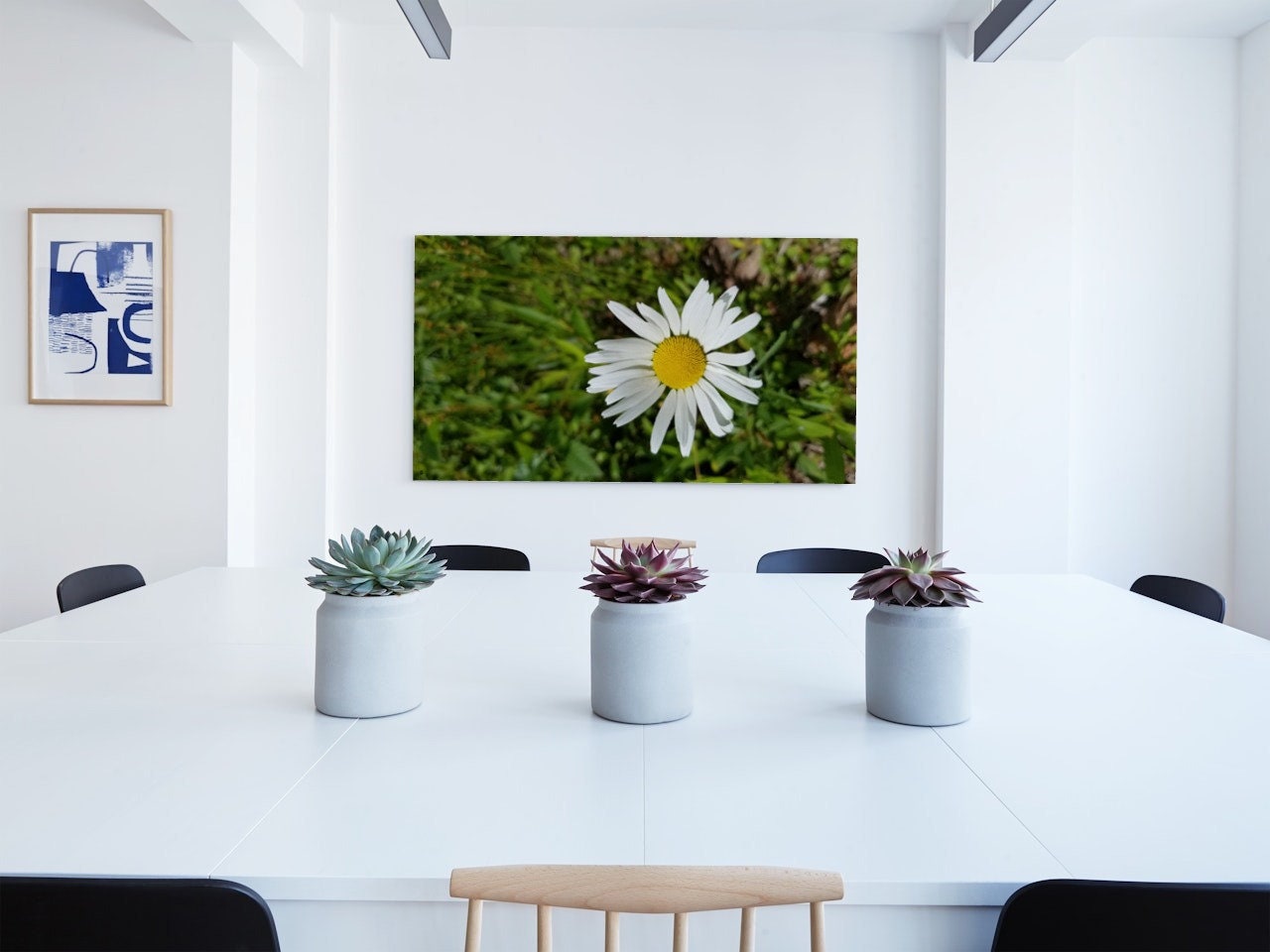 Daisy Photo Spring Daisy Flower Photo Custom Wall Art Flower Decor ...