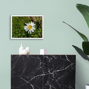 Daisy Photo Spring Daisy Flower Photo Custom Wall Art Flower Decor ...