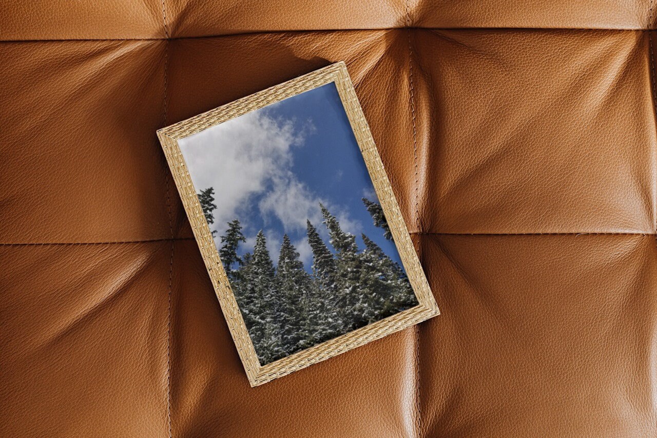Trees and Sky Pine Trees Blue Sky Outdoor Print Nature Photo Scenic ...