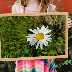 Daisy Photo Spring Daisy Flower Photo Custom Wall Art Flower Decor ...