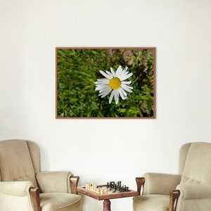 Daisy Photo Spring Daisy Flower Photo Custom Wall Art Flower Decor ...