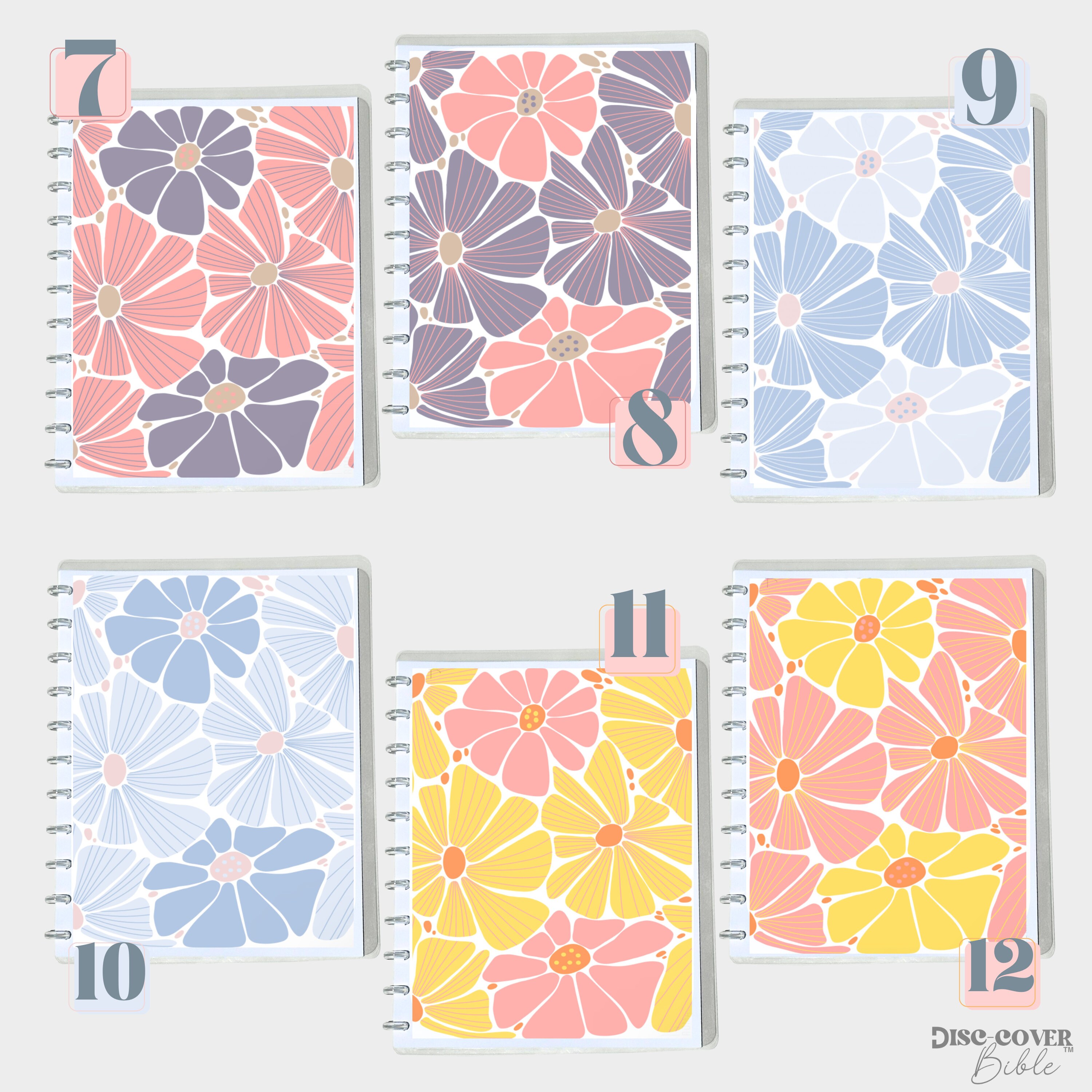 DISC-COVER Bible™ Note Taking Bible Discbound Bible Study ASV the Book ...