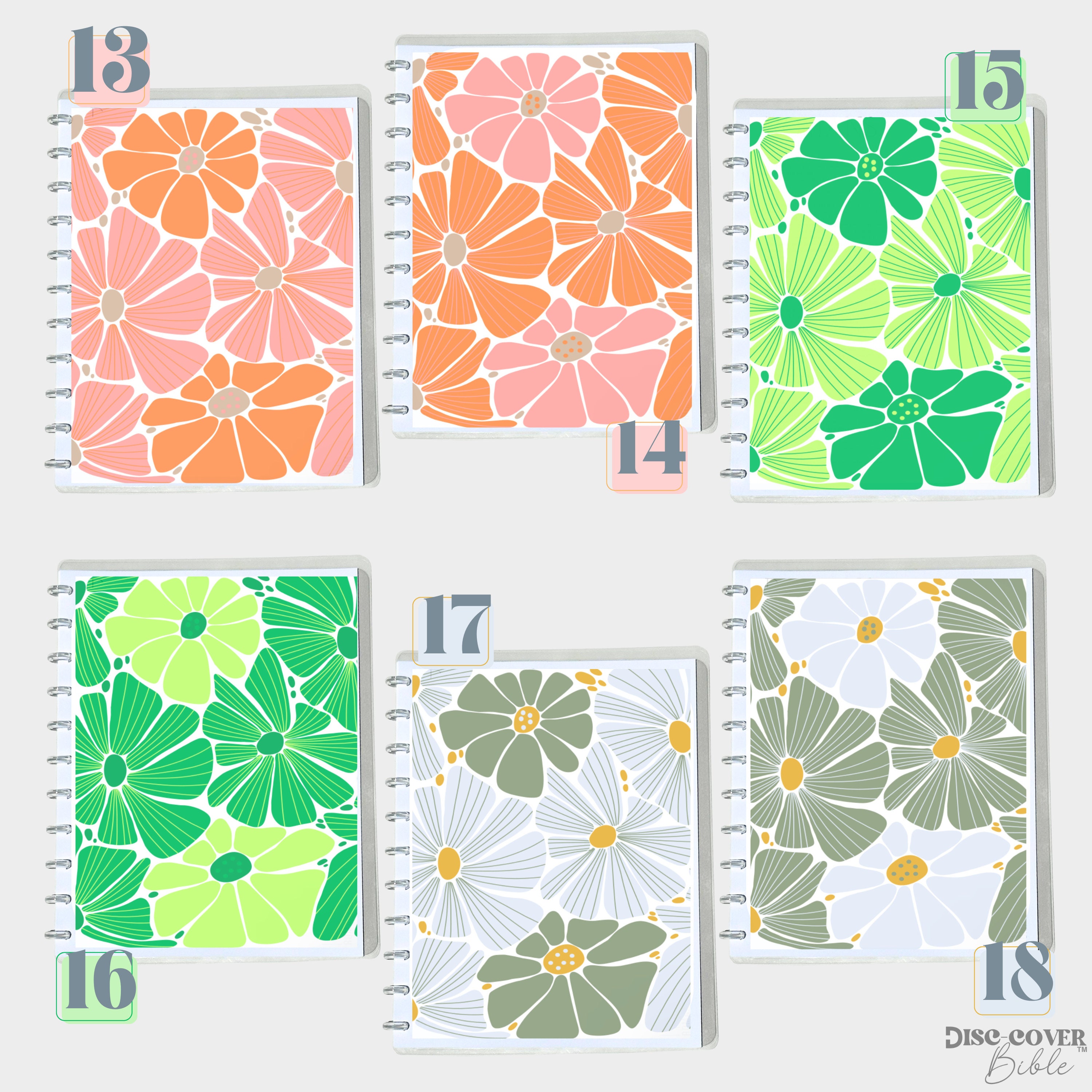 DISC-COVER Bible™ Note Taking Bible Discbound Bible Study ASV the ...
