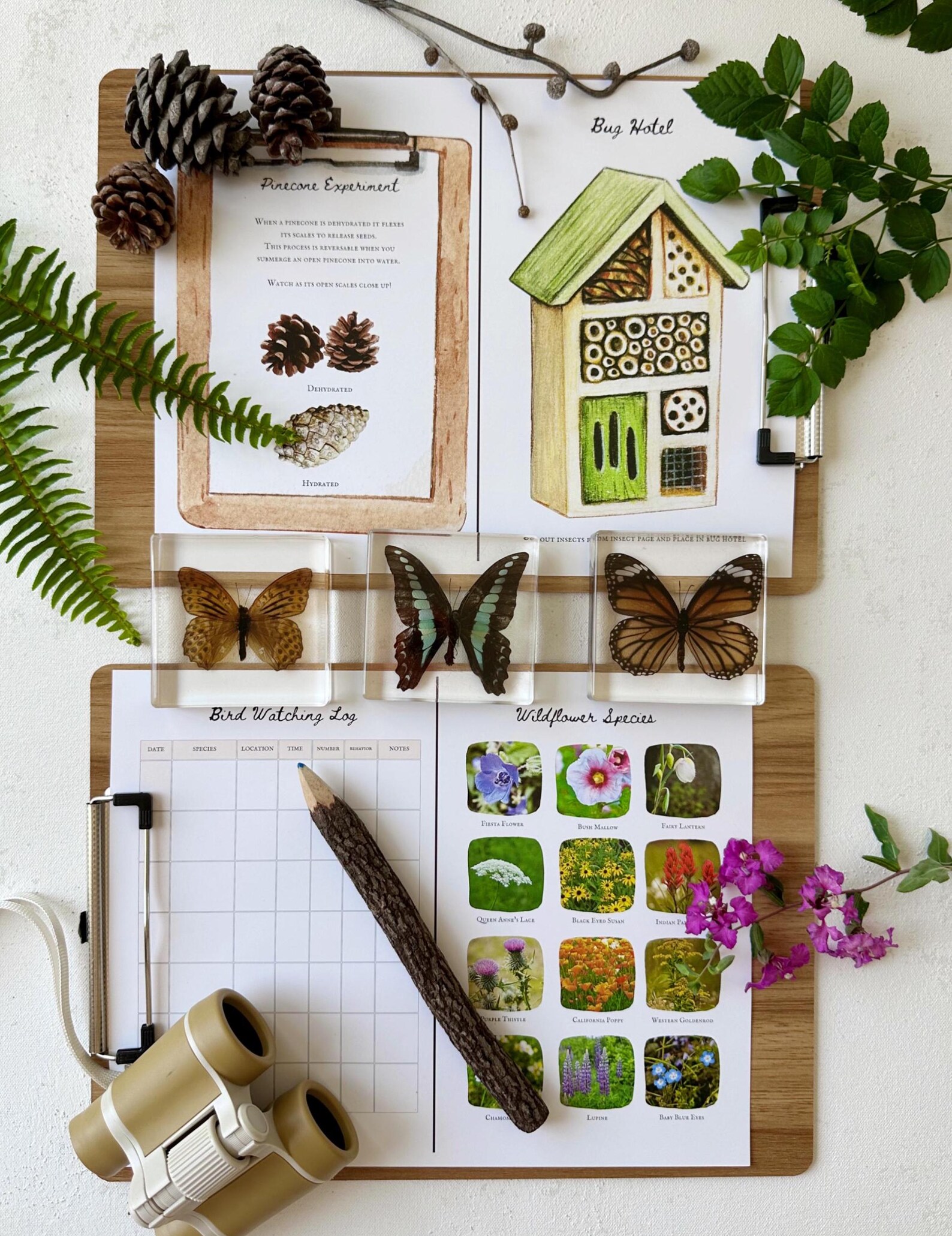 Nature Journal Study (forest Edition), Nature Journal Activities ...