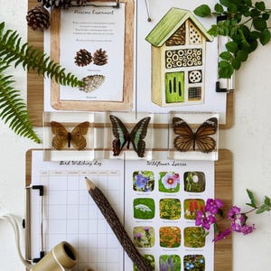 Nature Journal Study (forest Edition), Nature Journal Activities ...
