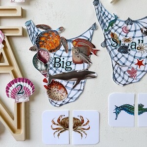 Oceanography Study, Ocean Animal Unit Study, Ocean Animal Worksheets ...