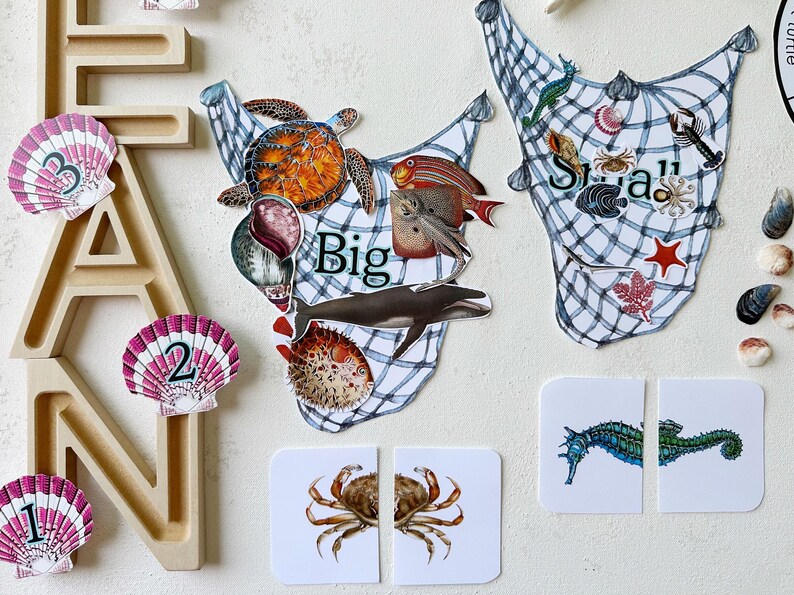 Ocean Unit Study Bundle, Marine Animals, Beach Study, Sea Life ...