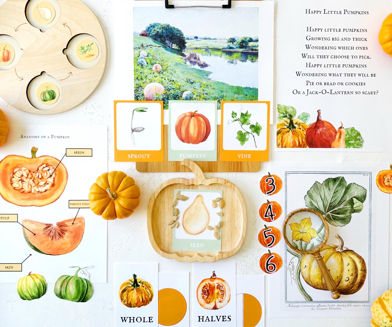 Pumpkin Unit Study, Fall Unit Study, Homeschool Pumpkin Study, Fall ...