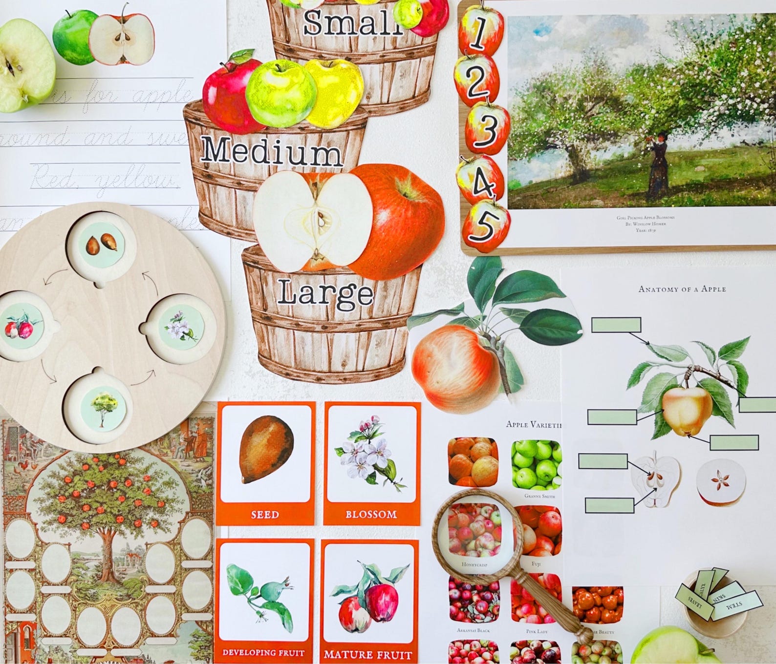 Apple Study, Fall Unit Study, Homeschool Apple Study, Fall Morning ...