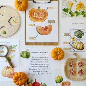 Pumpkin Unit Study, Fall Unit Study, Homeschool Pumpkin Study, Fall ...