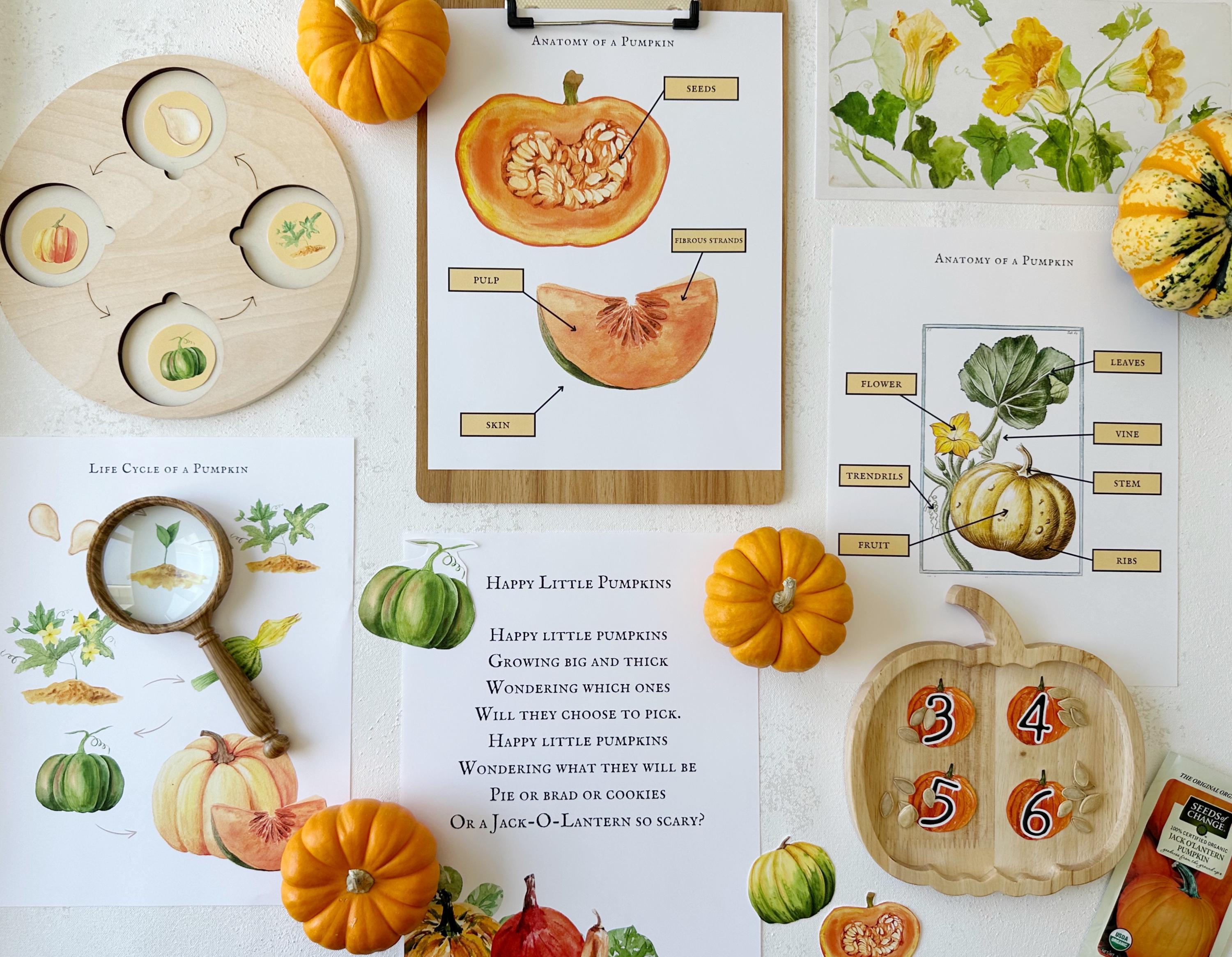 Pumpkin Unit Study, Fall Unit Study, Homeschool Pumpkin Study, Fall ...