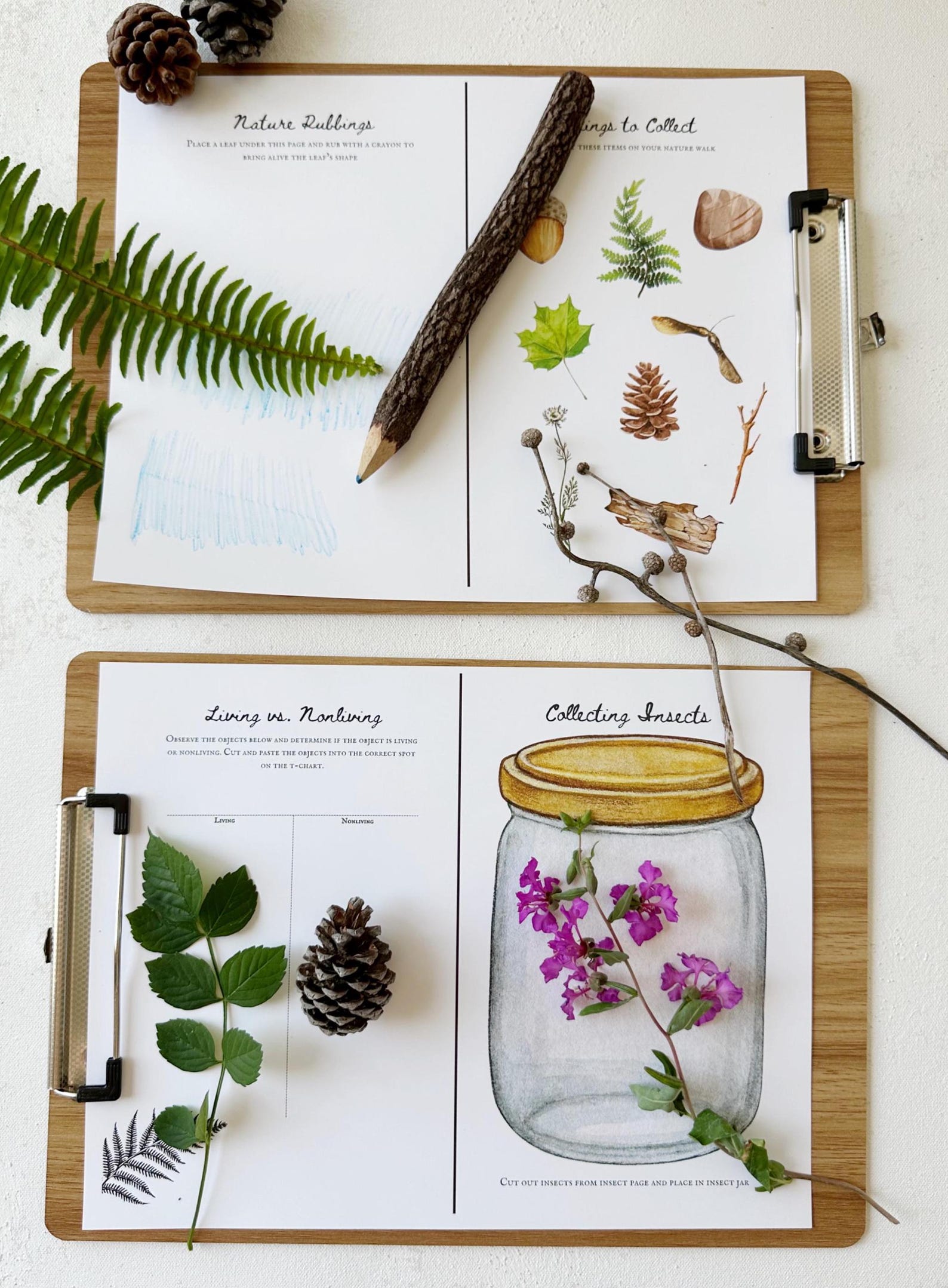 Nature Journal Study (forest Edition), Nature Journal Activities ...