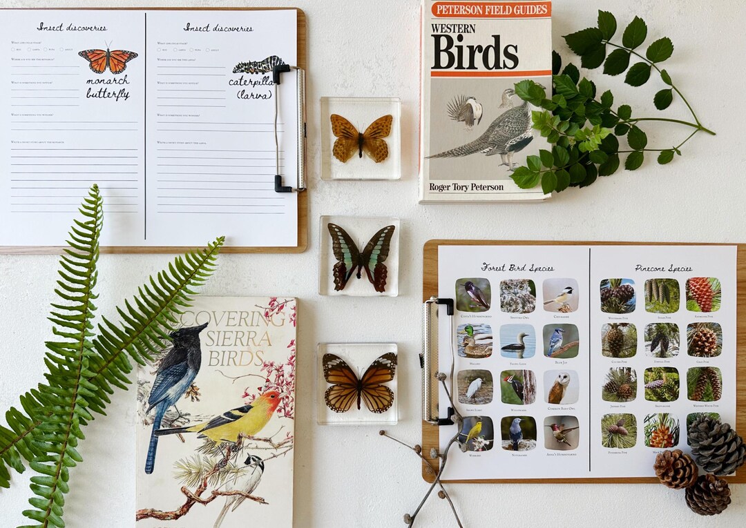 Nature Journal Study (forest Edition), Nature Journal Activities ...