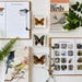 Nature Journal Study (forest Edition), Nature Journal Activities ...