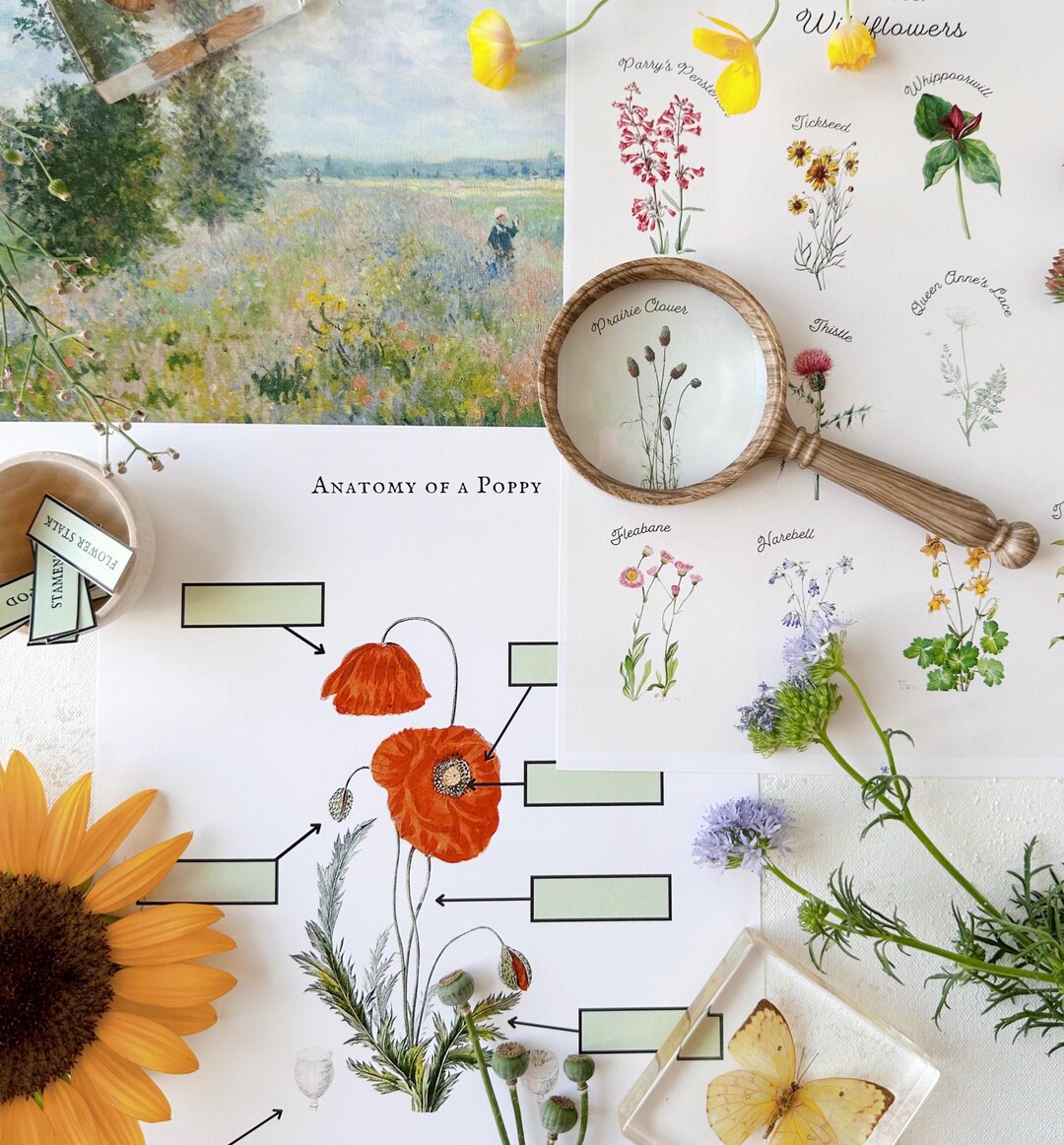 Wildflower Unit Study, Nature Study Kit, Wildflower Homeschool Unit ...