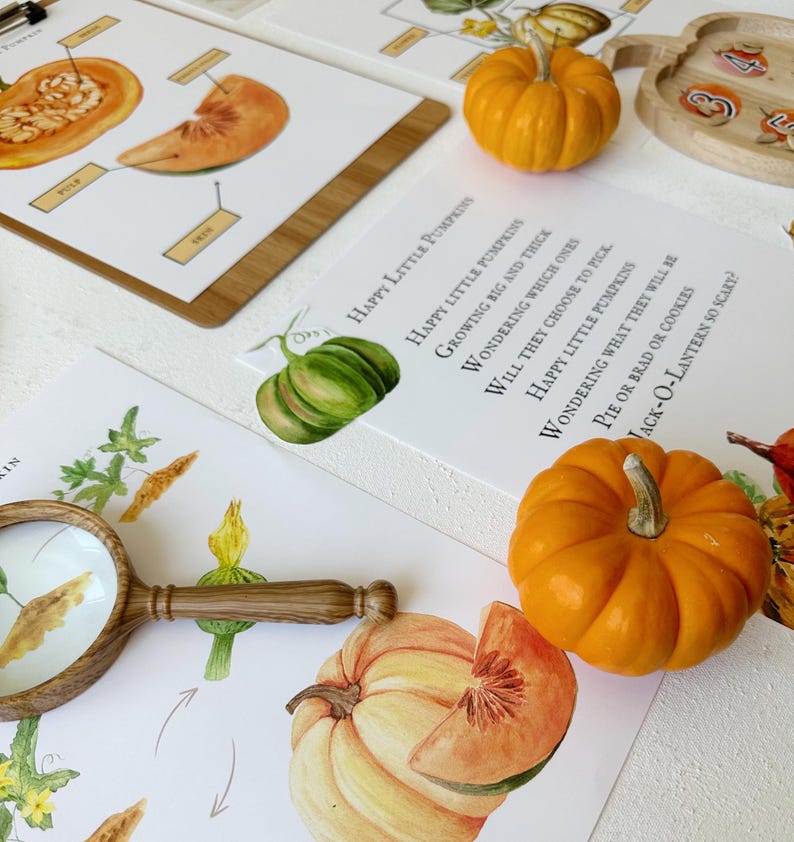 Pumpkin Unit Study, Fall Unit Study, Homeschool Pumpkin Study, Fall ...