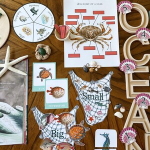 Oceanography Study, Ocean Animal Unit Study, Ocean Animal Worksheets ...