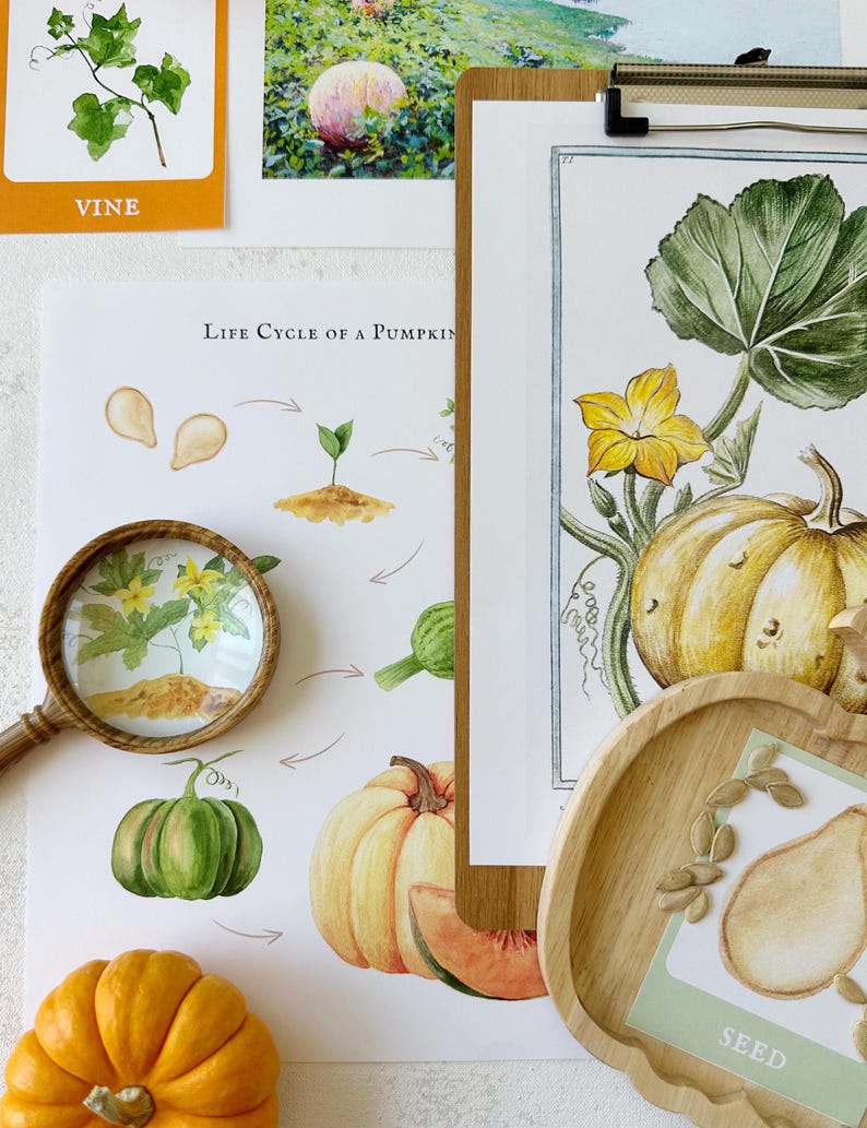 Pumpkin Unit Study, Fall Unit Study, Homeschool Pumpkin Study, Fall ...
