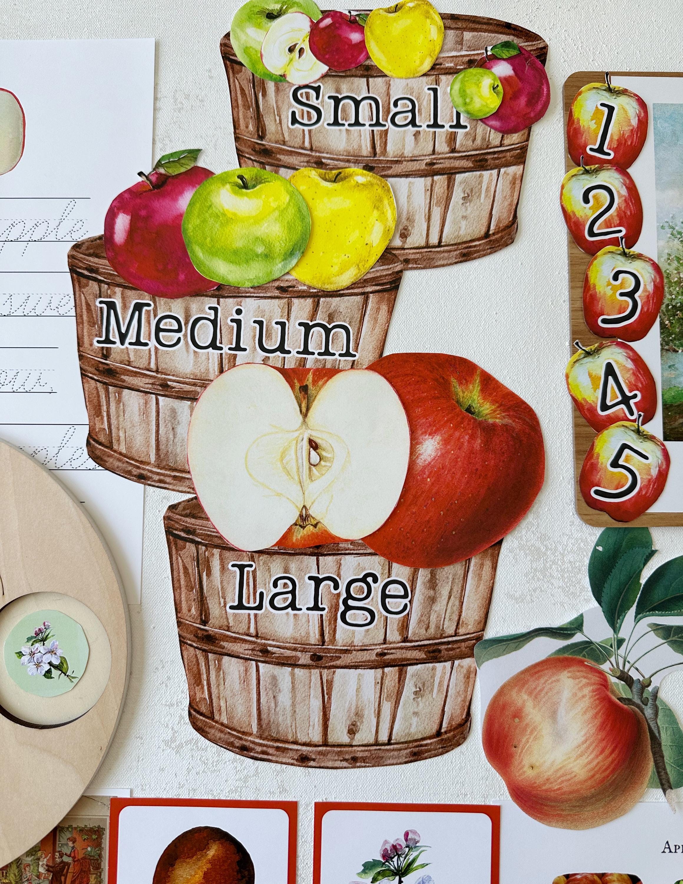 Apple Study, Fall Unit Study, Homeschool Apple Study, Fall Morning ...