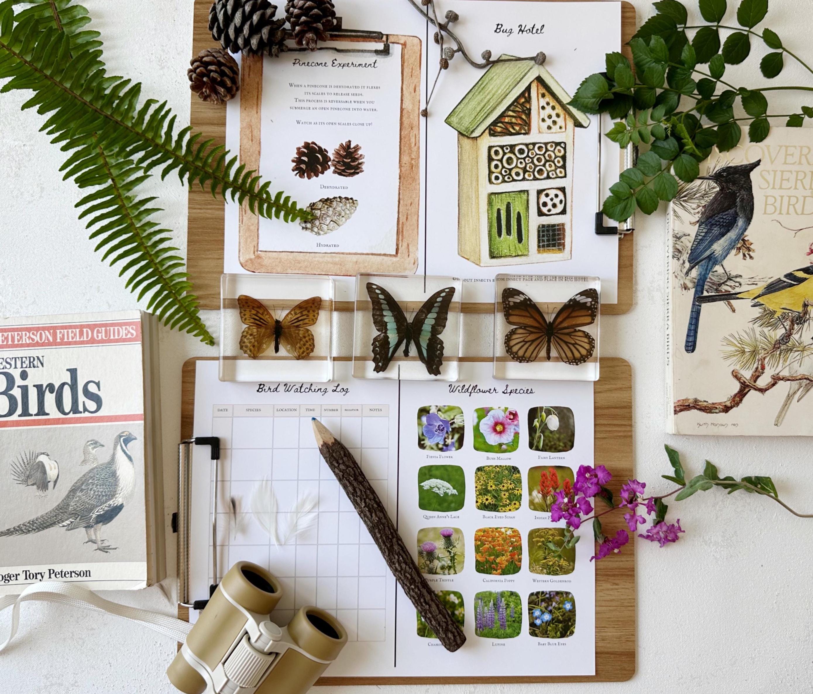 Nature Journal Study (forest Edition), Nature Journal Activities ...