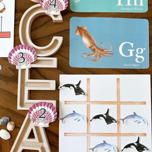 Oceanography Study, Ocean Animal Unit Study, Ocean Animal Worksheets ...