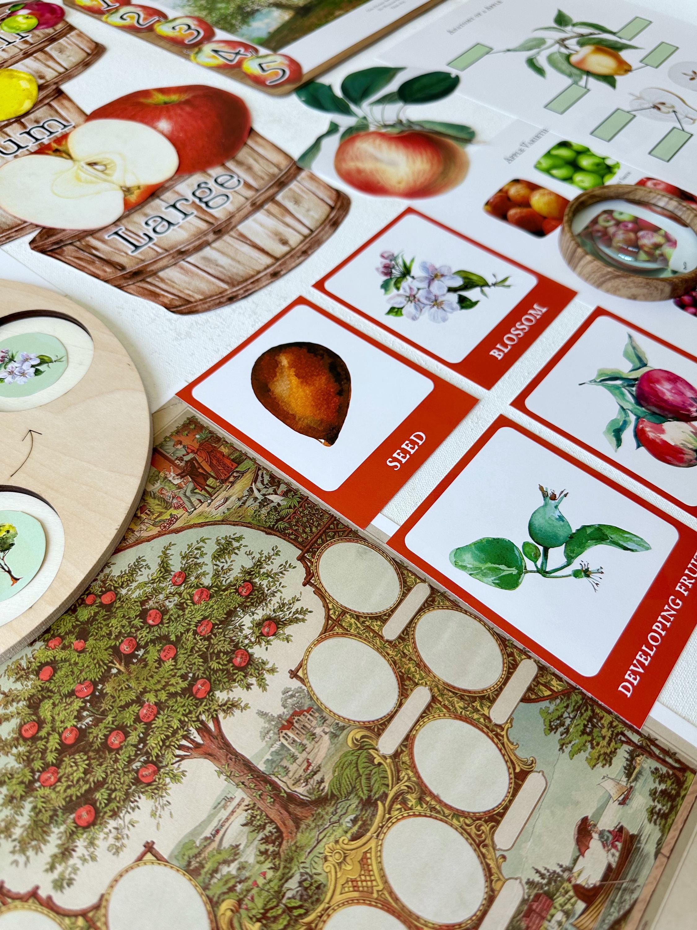 Apple Study, Fall Unit Study, Homeschool Apple Study, Fall Morning ...